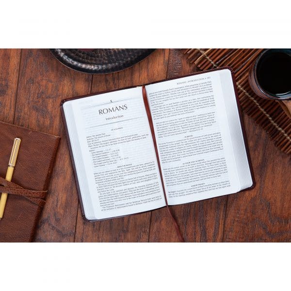 The Passion Translation Bible (God Encounters Edition) and The Prophet ...
