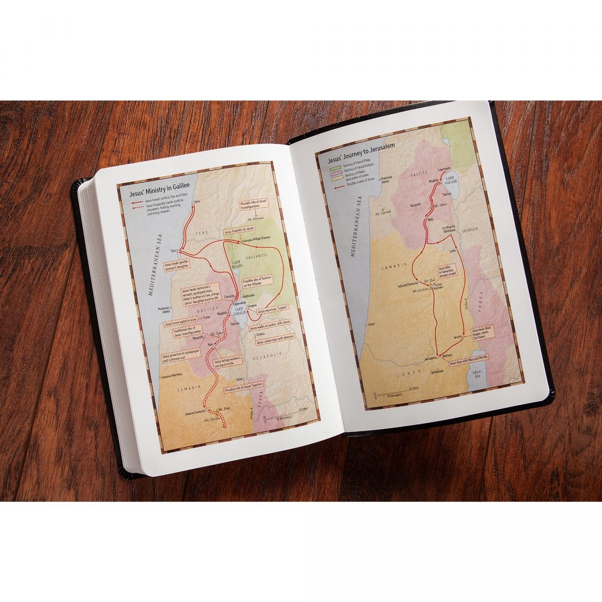 The Passion Translation Bible (God Encounters Edition) and The Prophet ...